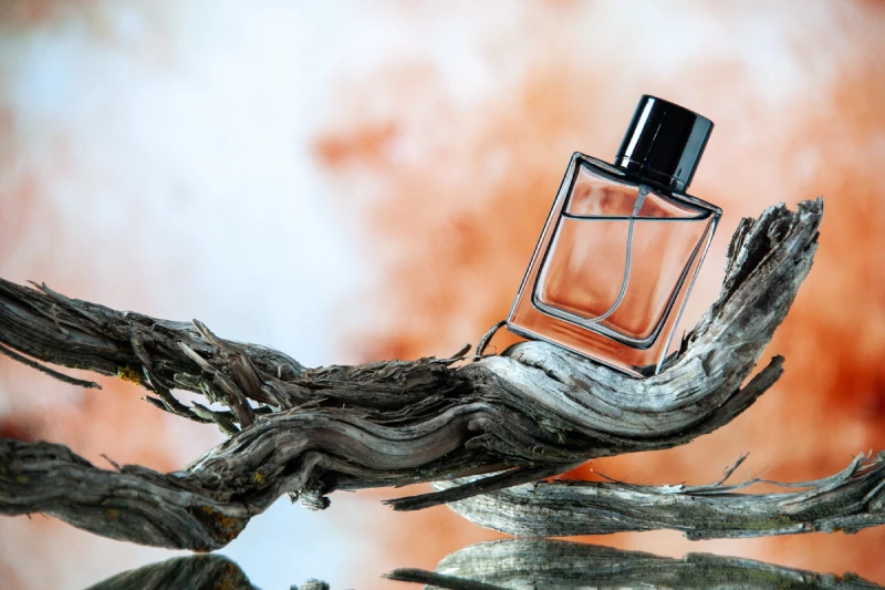 Amber in Perfumery | Classic & Timeless Scent Profile